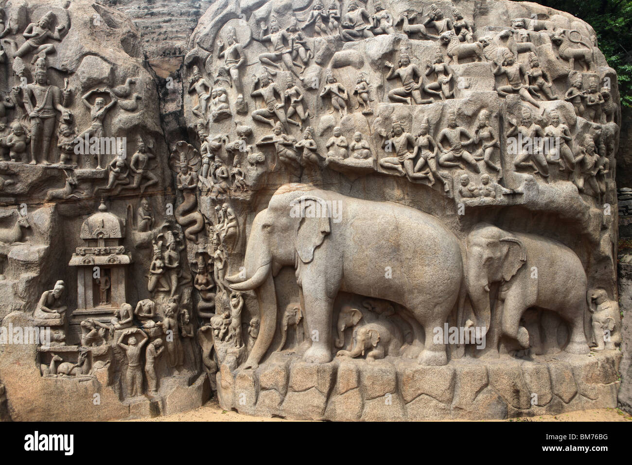 Arjuna Penance the world largest stone bas relief at Mahabalipuram or ...