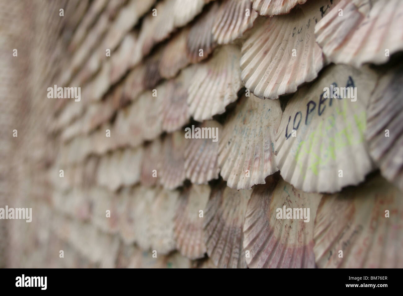 A building made of shells in the Canary islands Stock Photo - Alamy