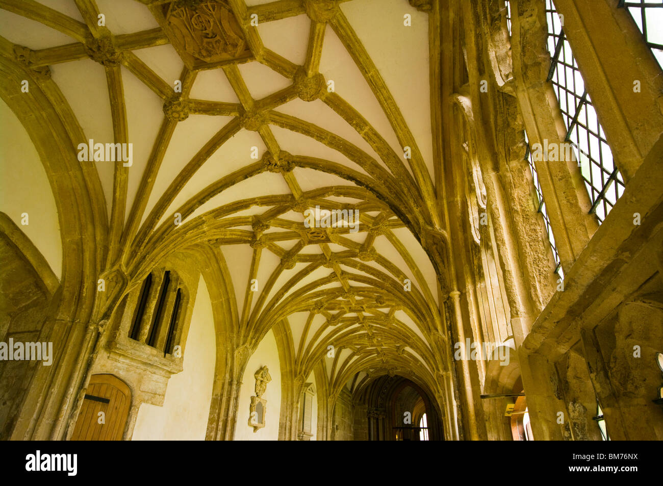 Ornate ceiling cloisters wells cathedral hi-res stock photography and ...