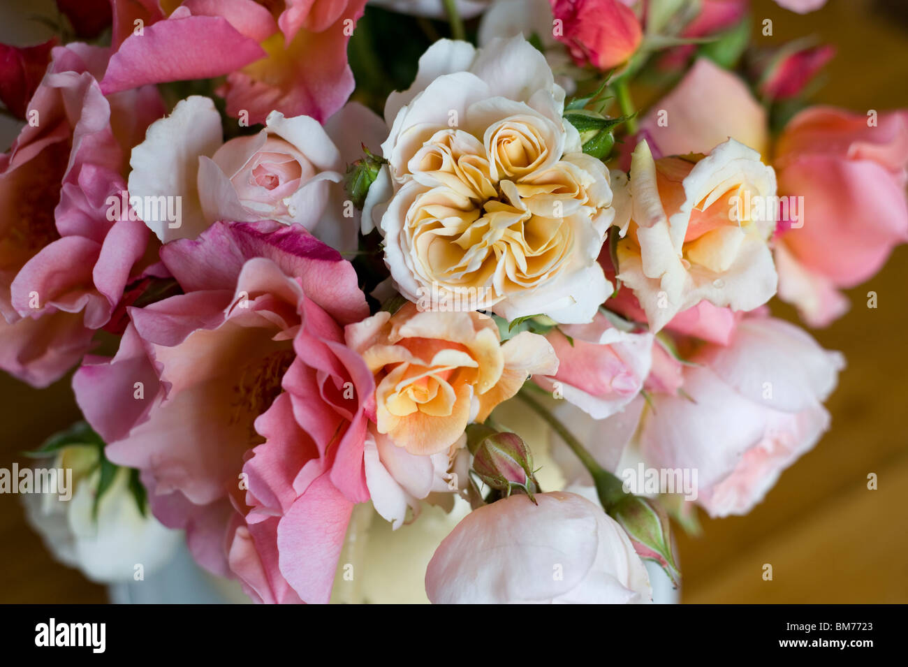English roses hi-res stock photography and images - Alamy