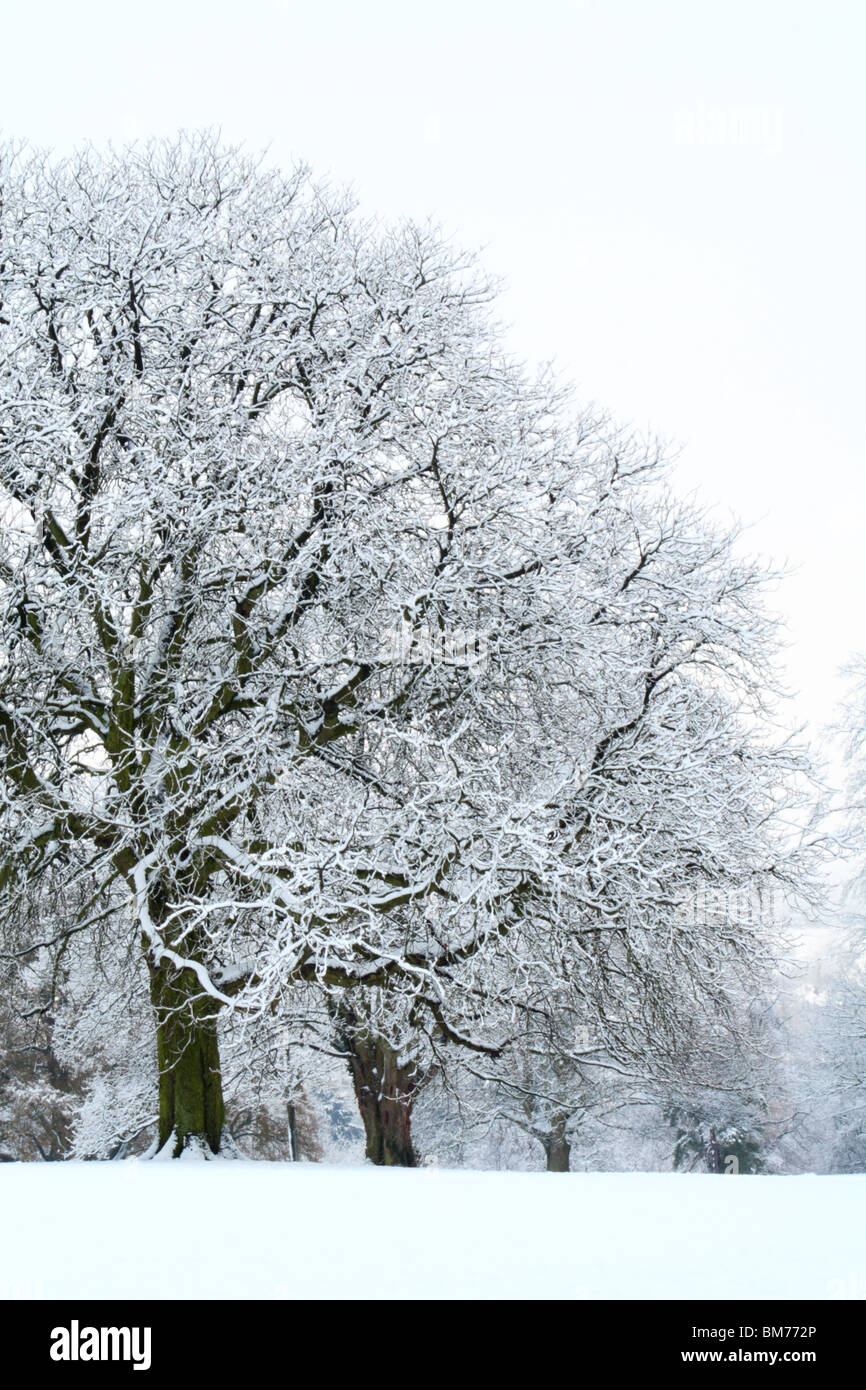 Downley hi-res stock photography and images - Alamy