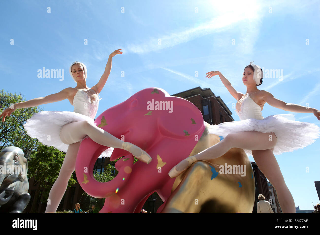 Elephant ballet hi-res stock photography and images - Alamy