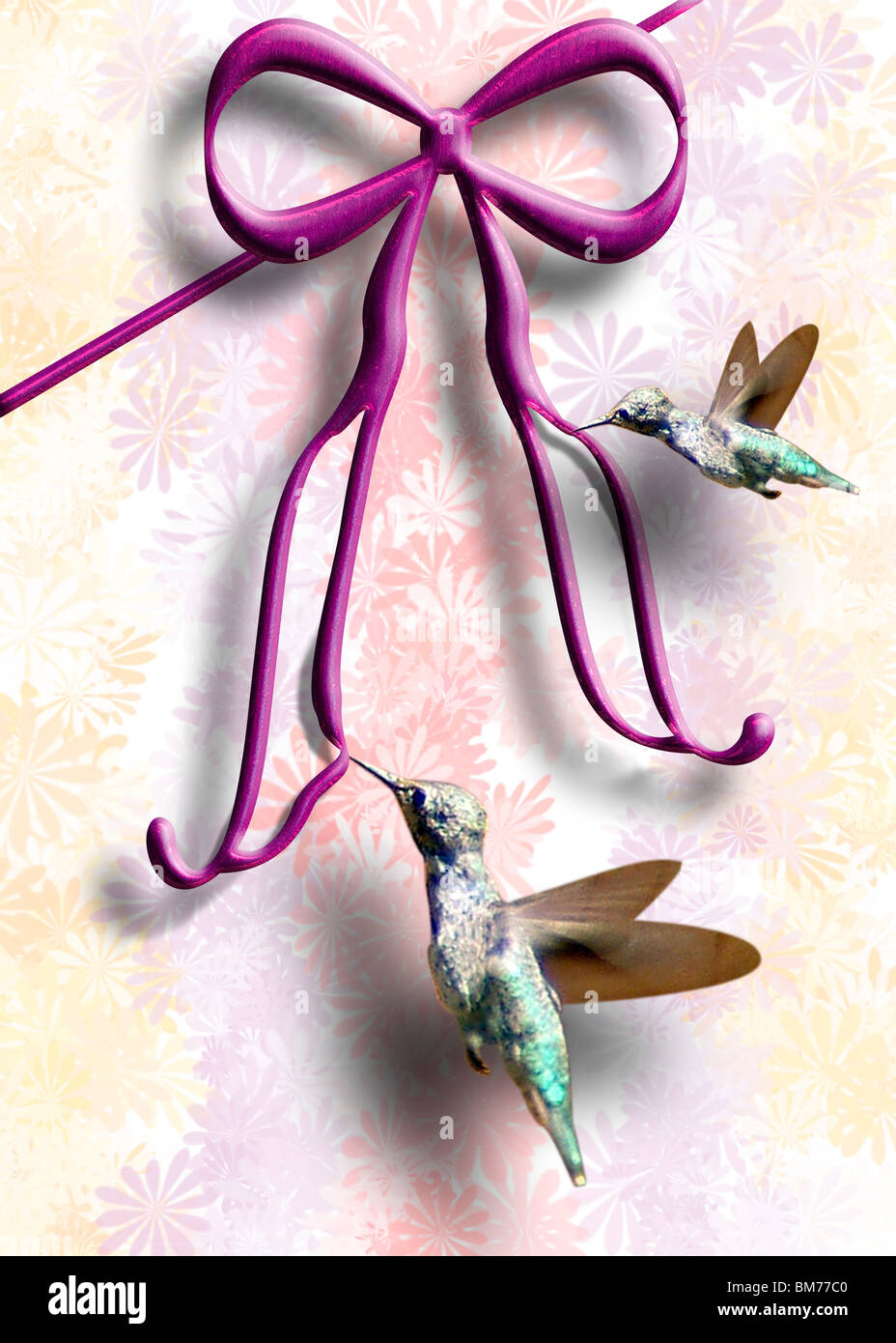 Hummingbirds and Ribbon Bow Stock Photo - Alamy