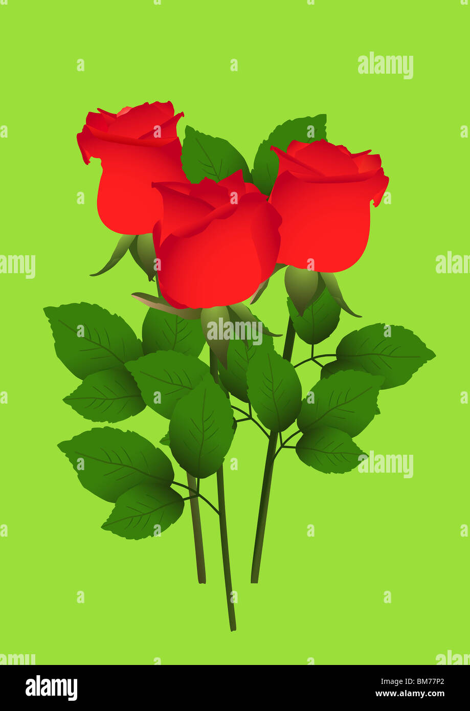 Three red rose flower isolated on green (rasterize from vector Stock ...