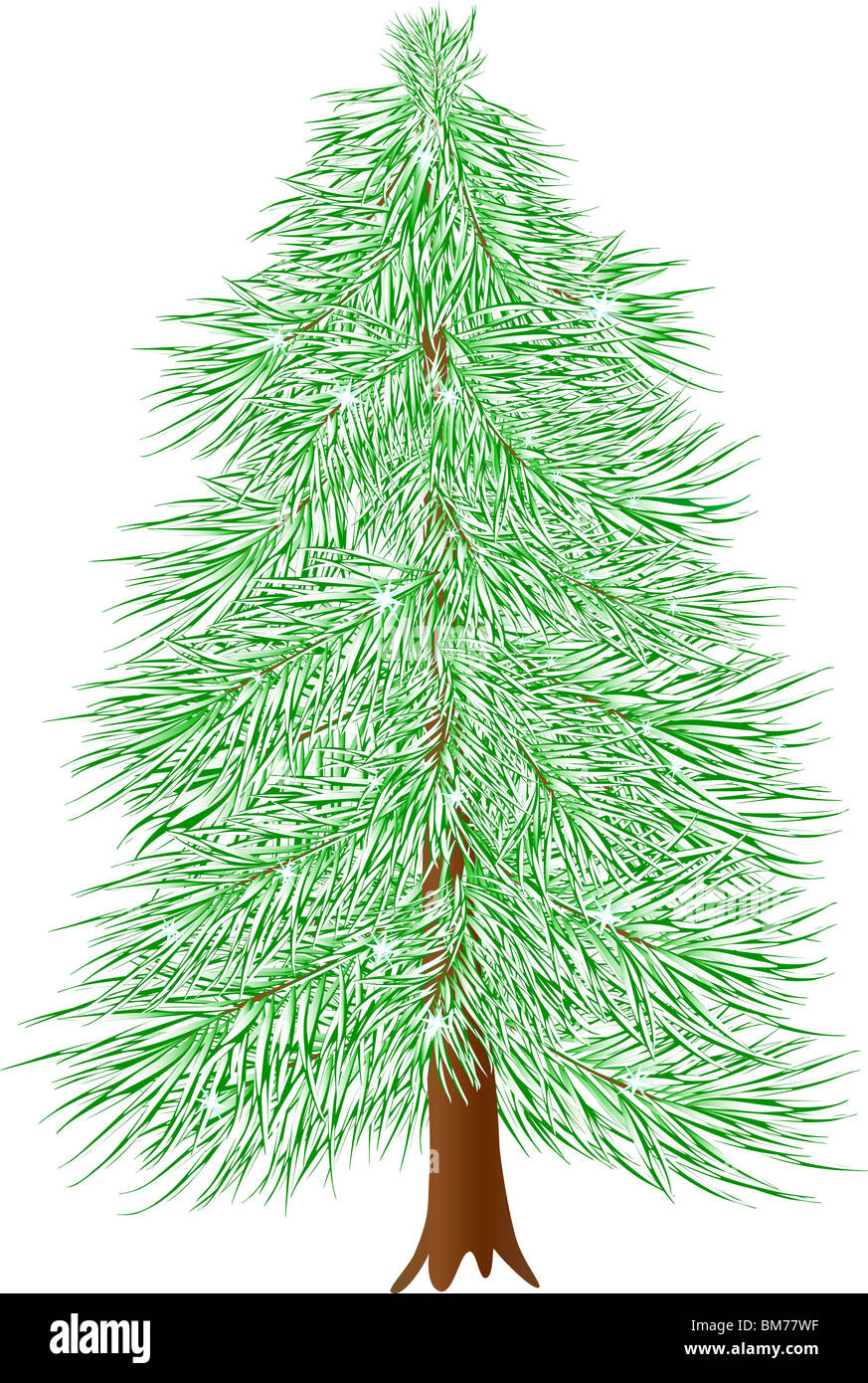winter coniferous tree isolated on white (rasterize from vector Stock ...