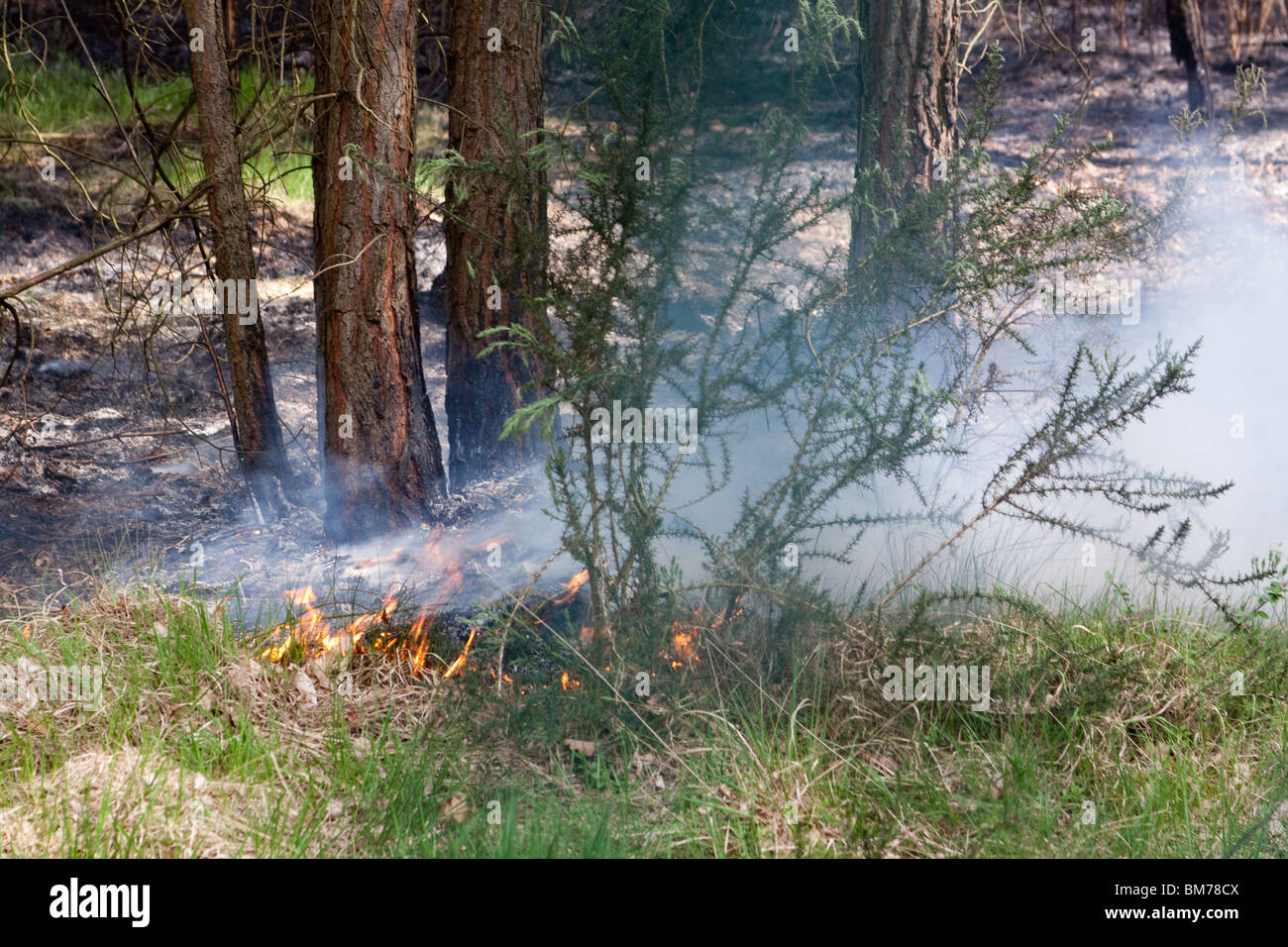 Heath Fire at the Ranges Chobham Stock Photo - Alamy