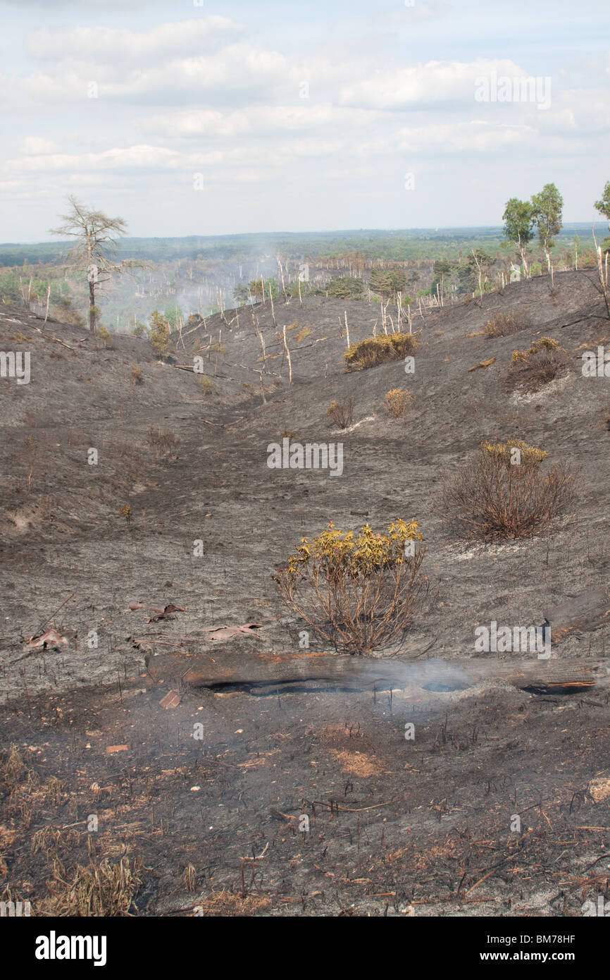 Heath Fire at the Ranges Chobham Stock Photo - Alamy