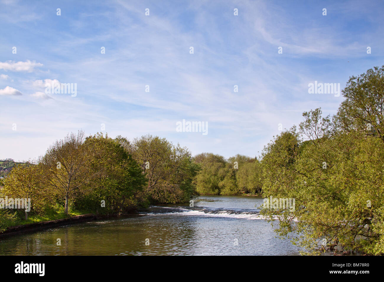 River Exe in Exeter, Devon lined by trees on both sides near Millers ...