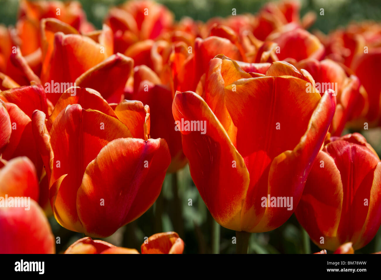 Oxford hi res hi-res stock photography and images - Alamy