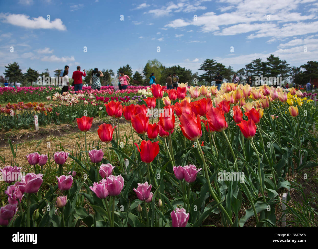 Holland michigan hi-res stock photography and images - Alamy