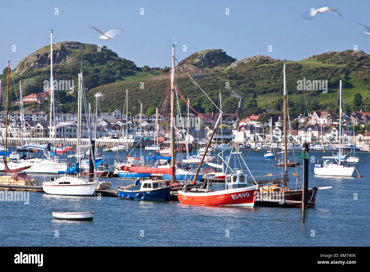 Conway marina hi-res stock photography and images - Alamy