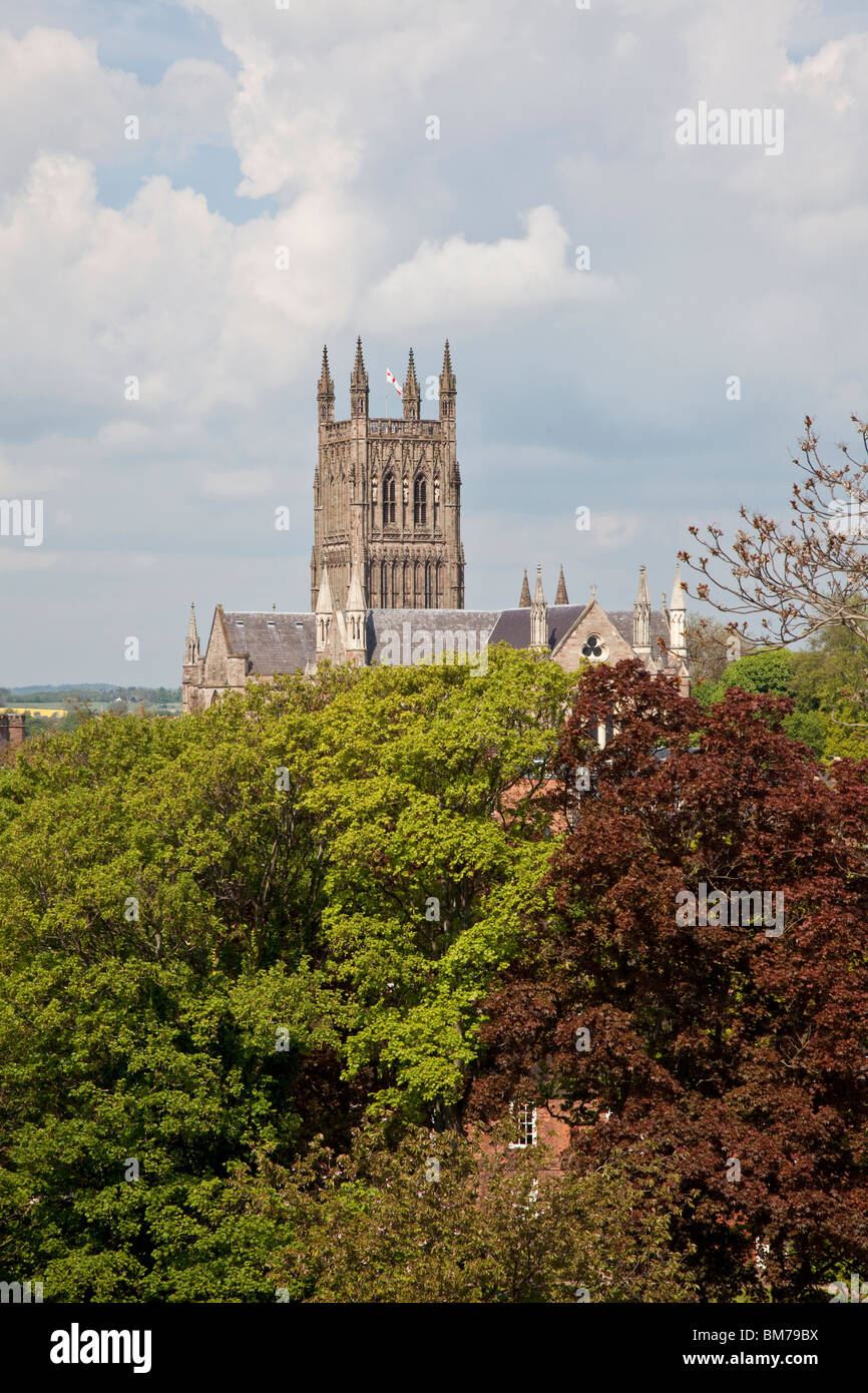 Worcester Cathedral from Fort Royal Park, Worcester, Worcestershire ...