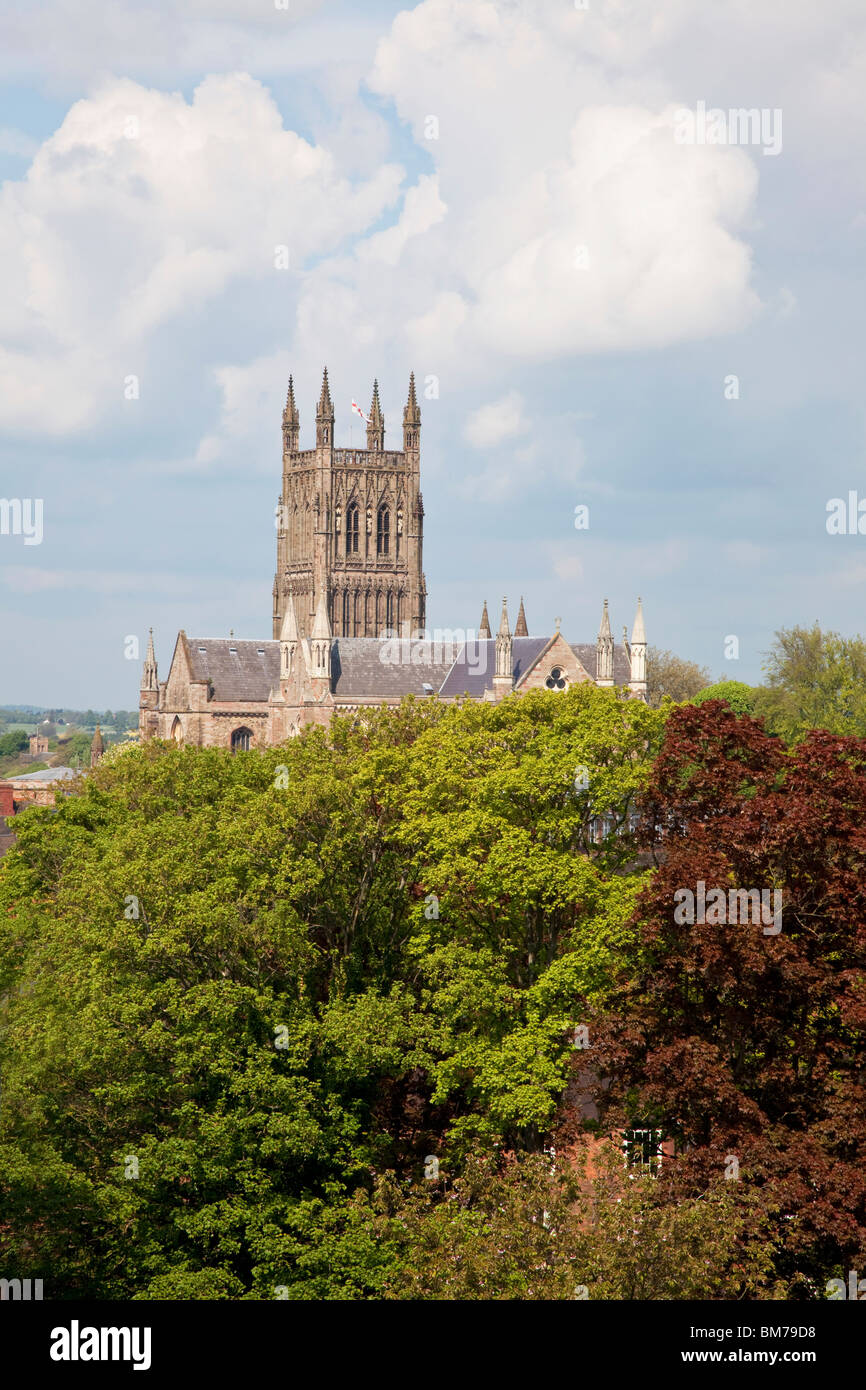 Worcester Cathedral from Fort Royal Park, Worcester, Worcestershire ...