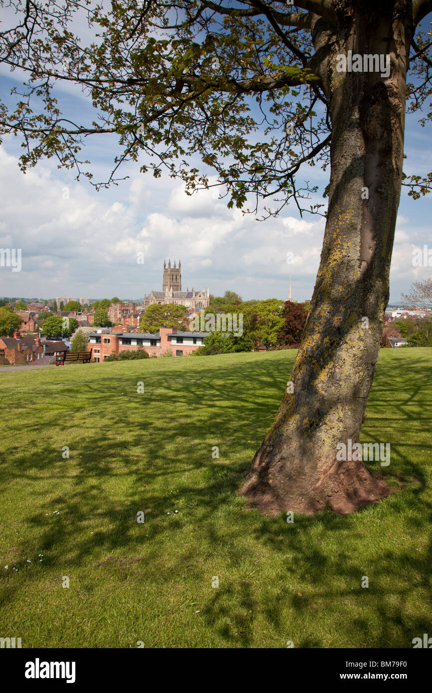 Worcester Cathedral from Fort Royal Park, Worcester, Worcestershire ...