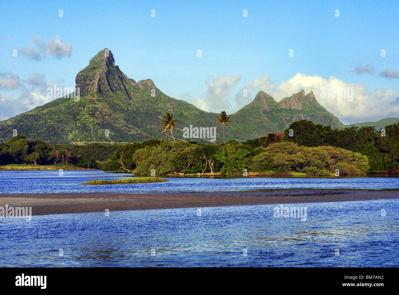 Tamarin bay hi-res stock photography and images - Alamy