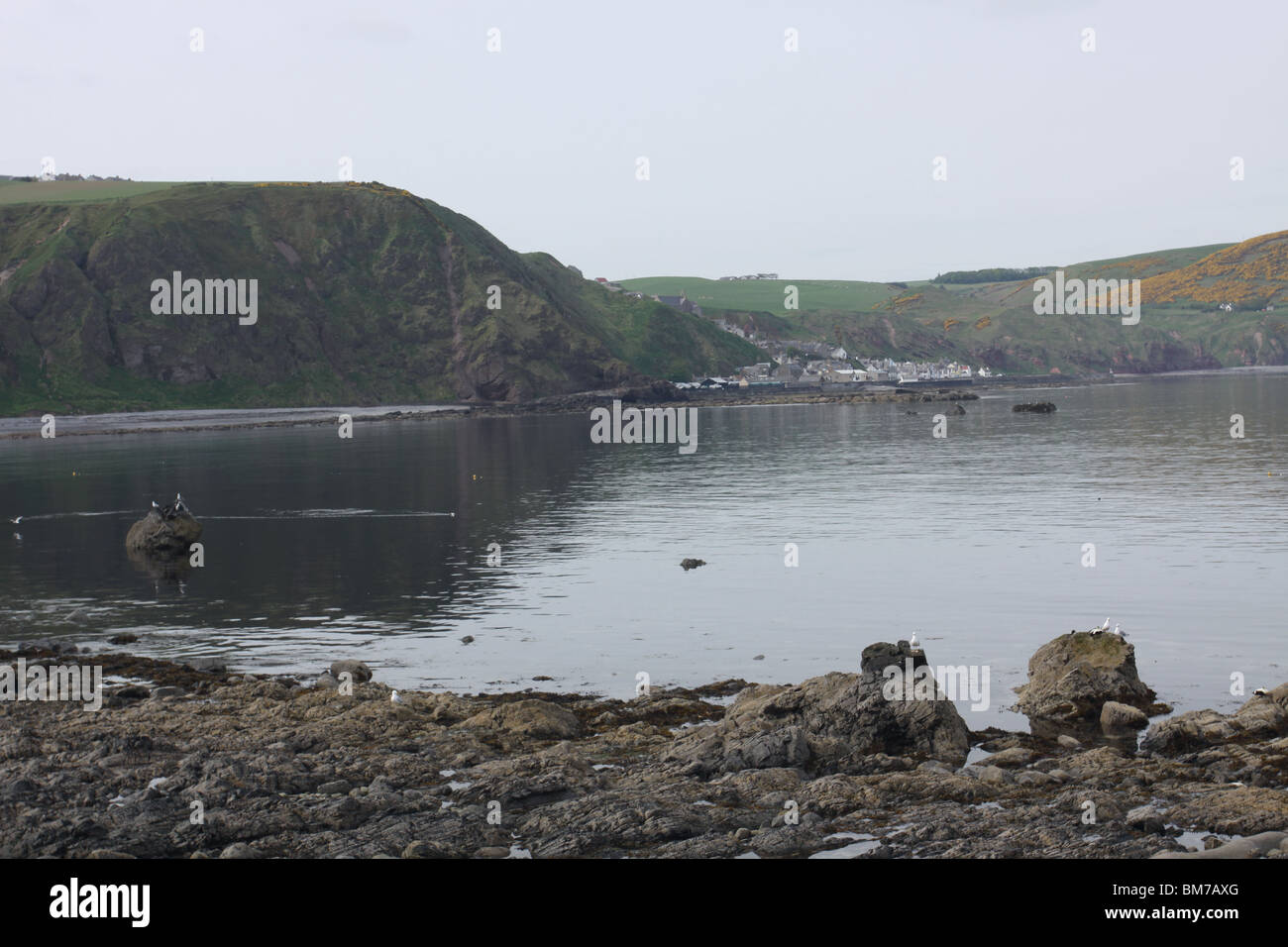Gamrie bay hi-res stock photography and images - Alamy