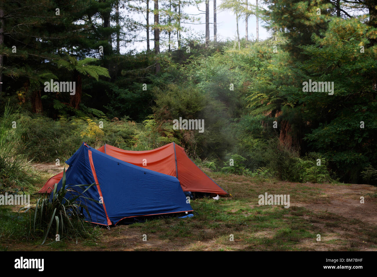 Kerosene Creek New Zealand High Resolution Stock Photography and Images ...