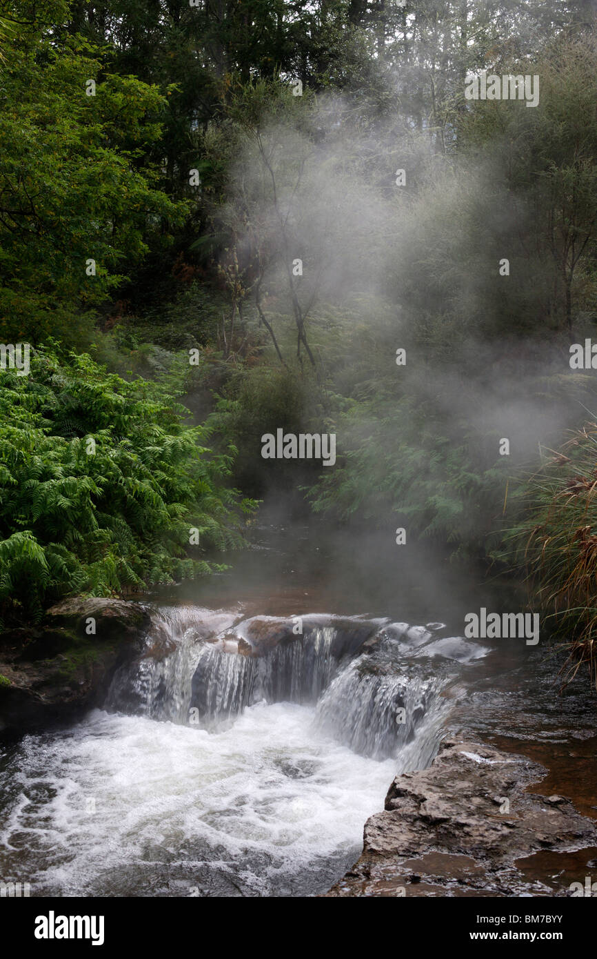 Kerosene Creek hot spring or thermal spring near Rotorua in New Zealand ...