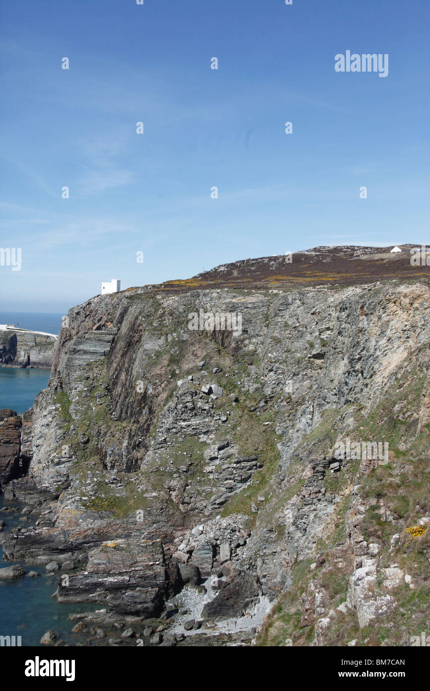 Typical chough nesting cliff at RSPB reserve South Stack Anglesey Stock ...