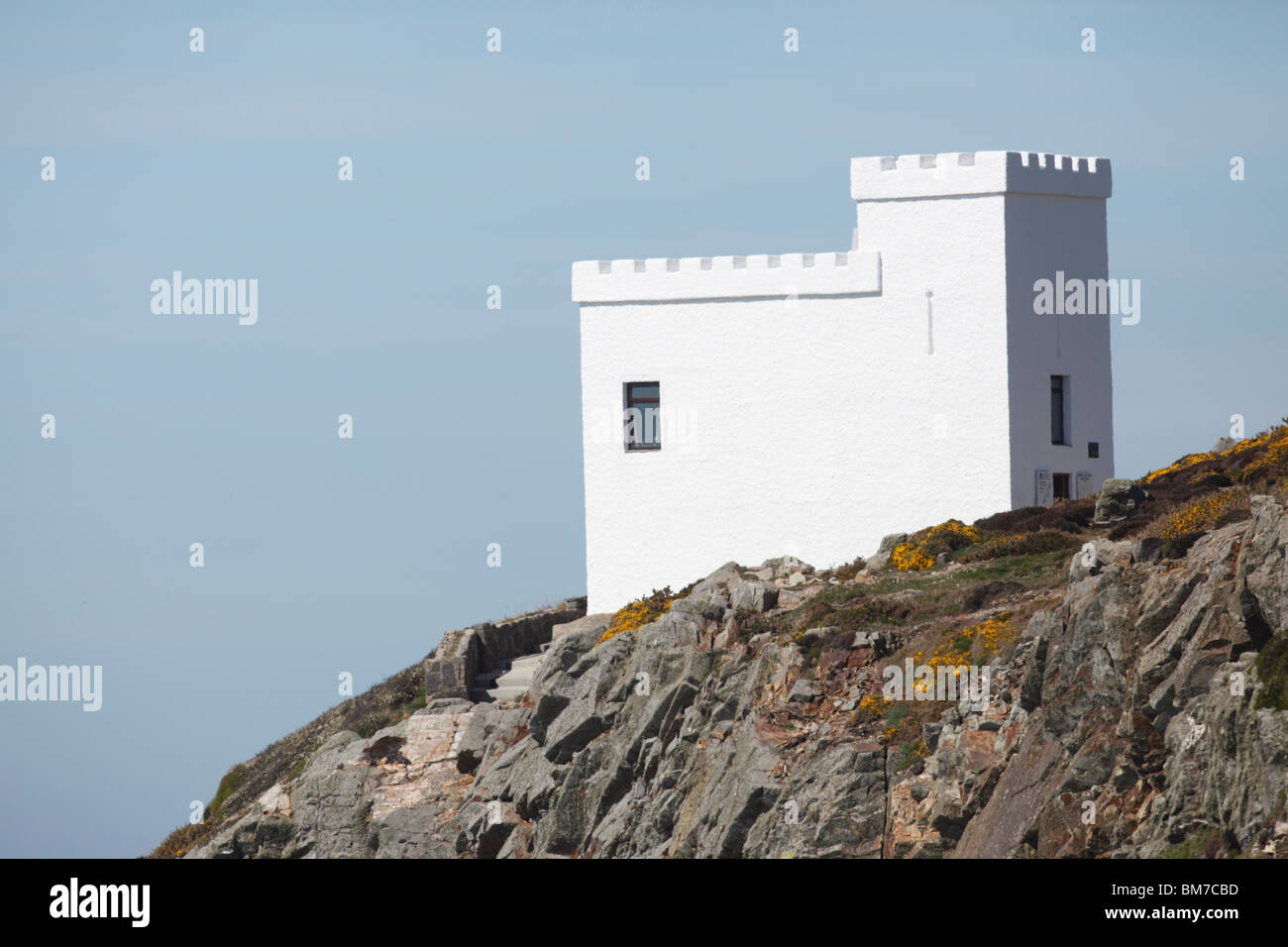 Elins Tower RSPB reserve South Stack Anglesey Stock Photo - Alamy