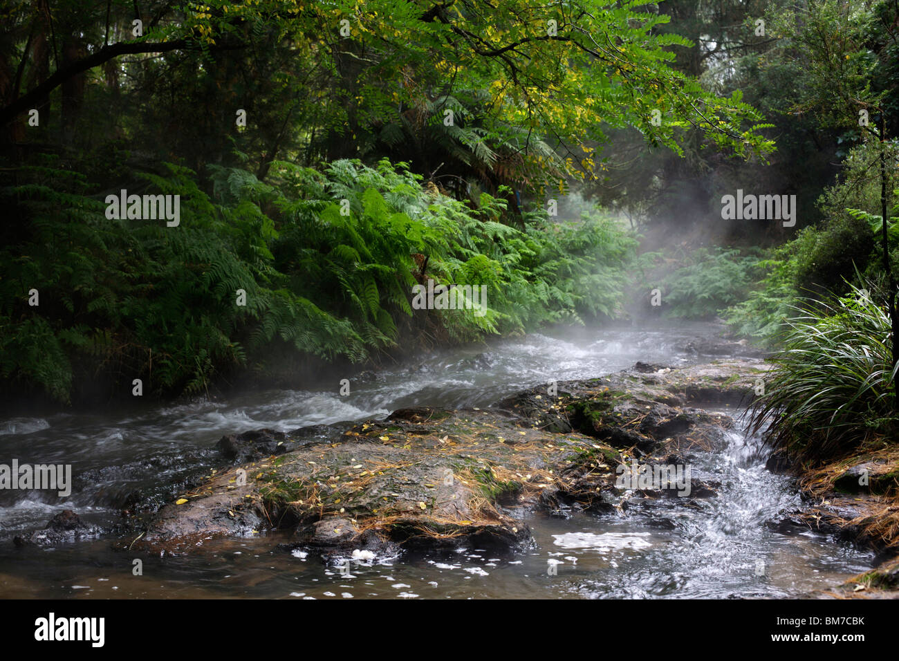 Spring creek new zealand hi-res stock photography and images - Alamy
