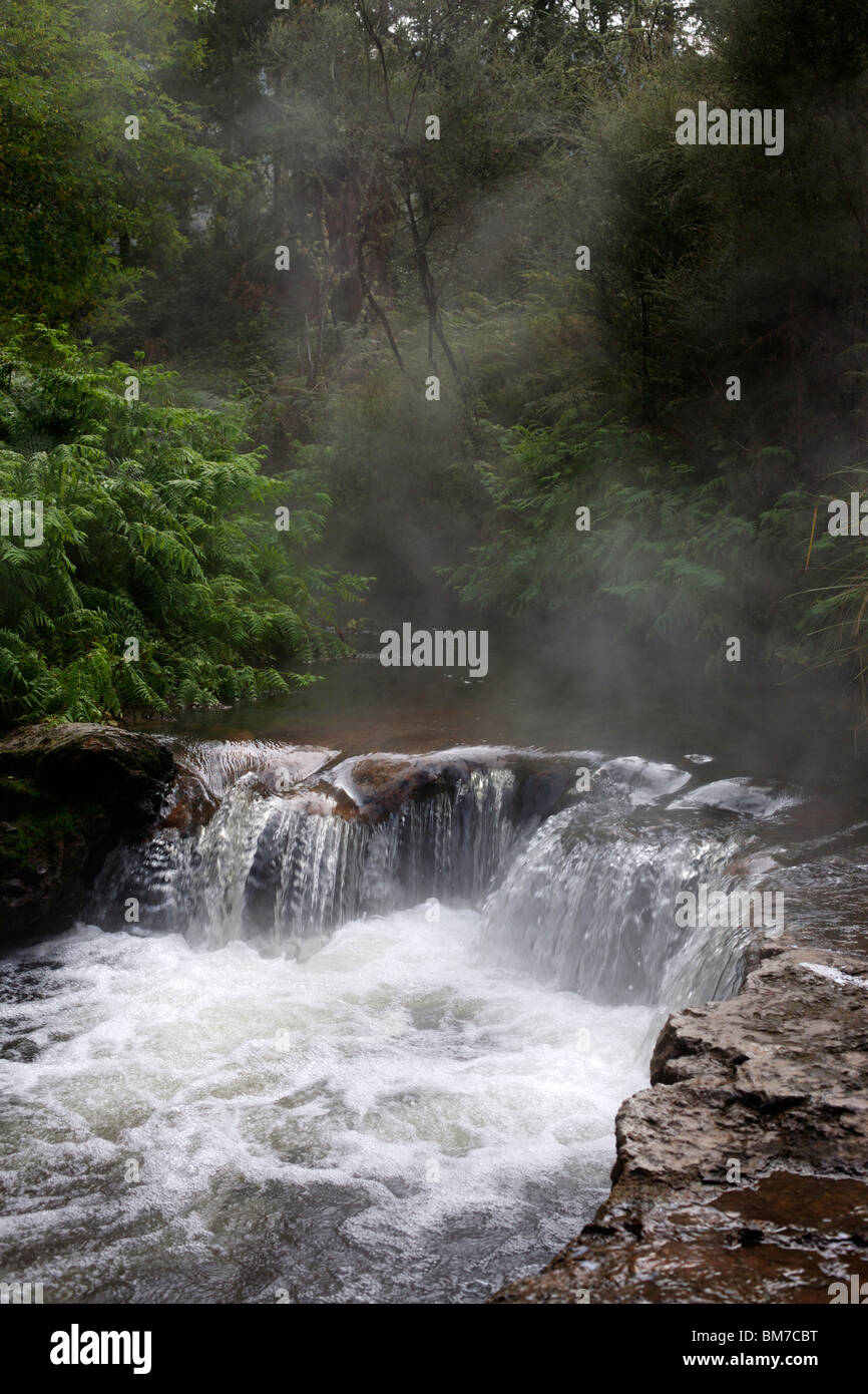 Kerosene Creek hot spring or thermal spring near Rotorua in New Zealand ...
