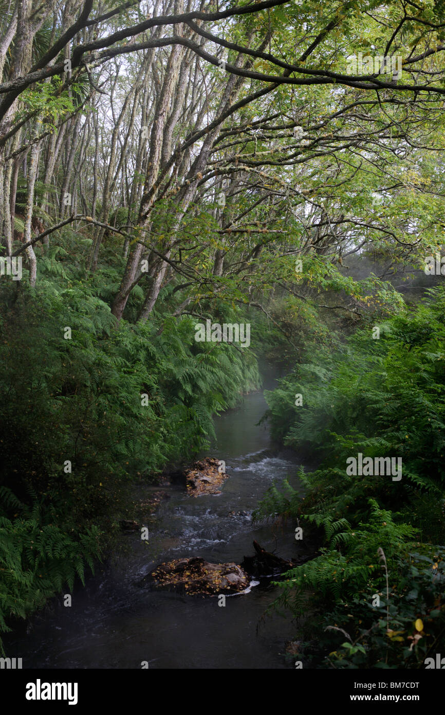 Kerosene creek new zealand hi-res stock photography and images - Alamy