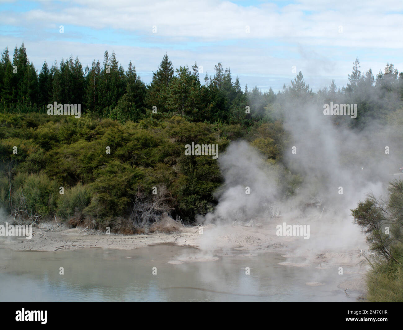 A thermal mud pool near Rotorua in New Zealand Stock Photo - Alamy