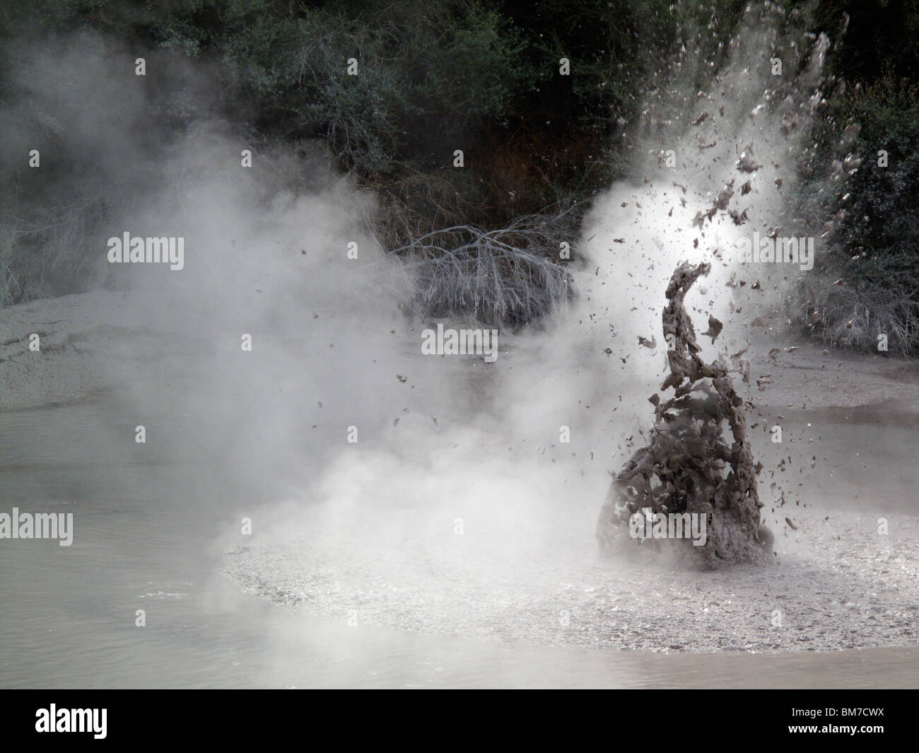 Boiling mud erupts at a geothermal mud pool near Rotorua in New Zealand ...