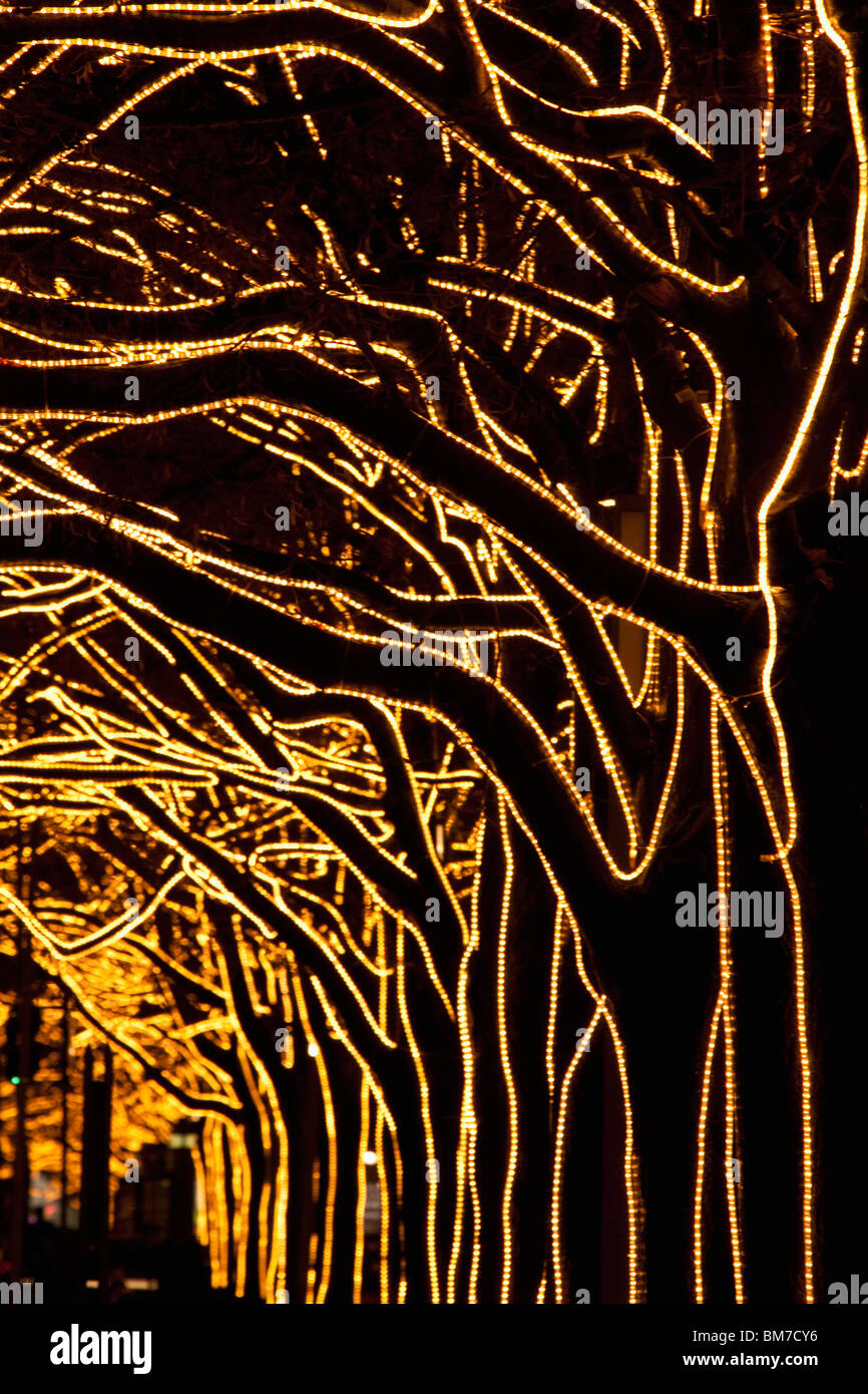 Decorated tree trees hi-res stock photography and images - Alamy