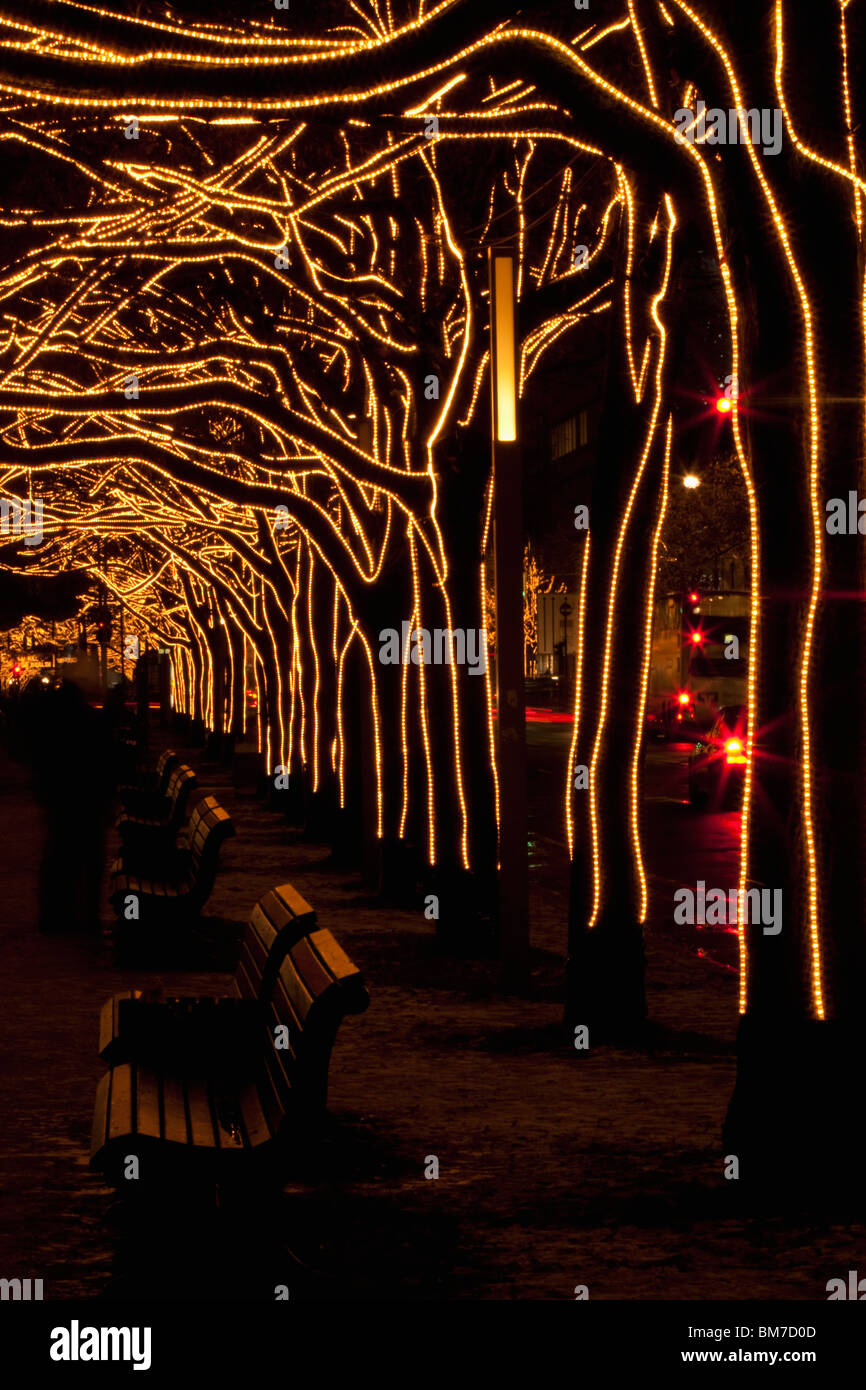 Trees decorated with lights, Unter Den Linden, Berlin, Germany Stock ...
