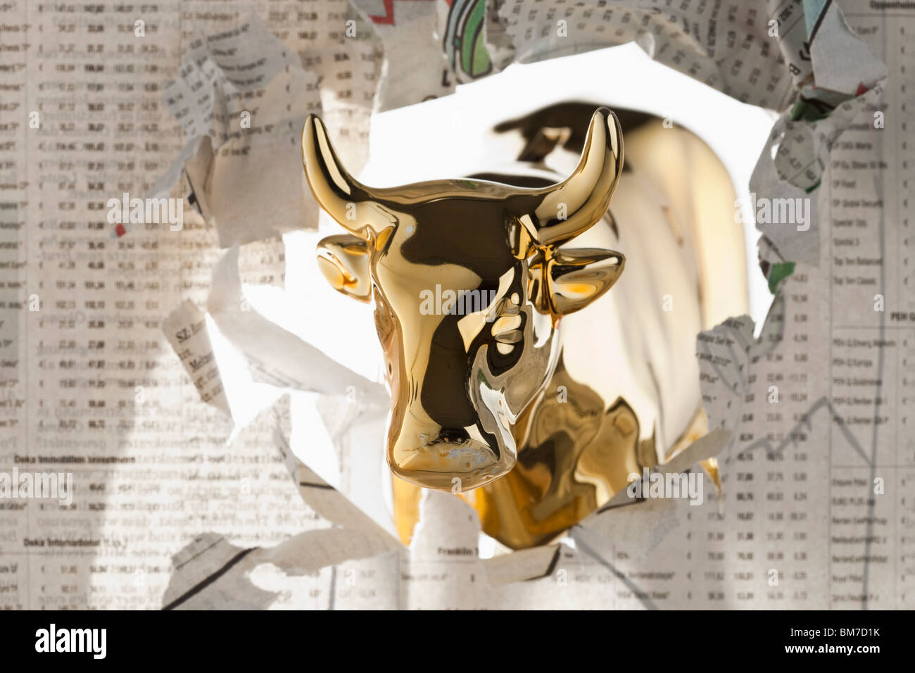 A golden bull breaking through the finance section of a newspaper Stock ...