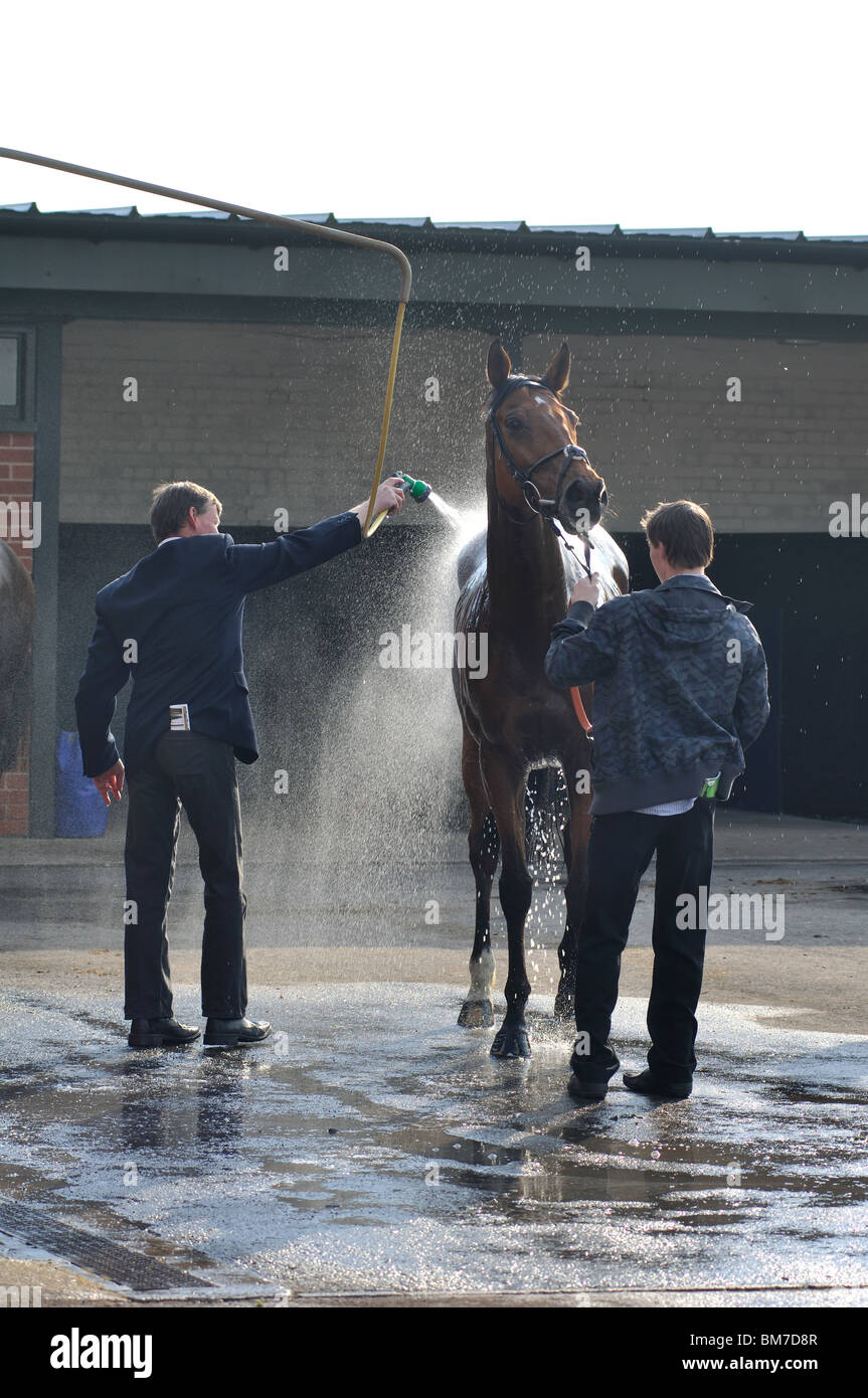 The Racehorse Warwick High Resolution Stock Photography and Images - Alamy