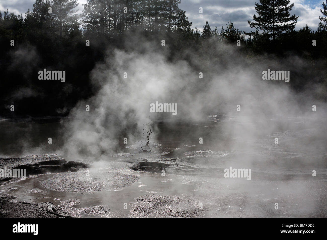 Boiling mud erupts at a geothermal mud pool near Rotorua in New Zealand ...