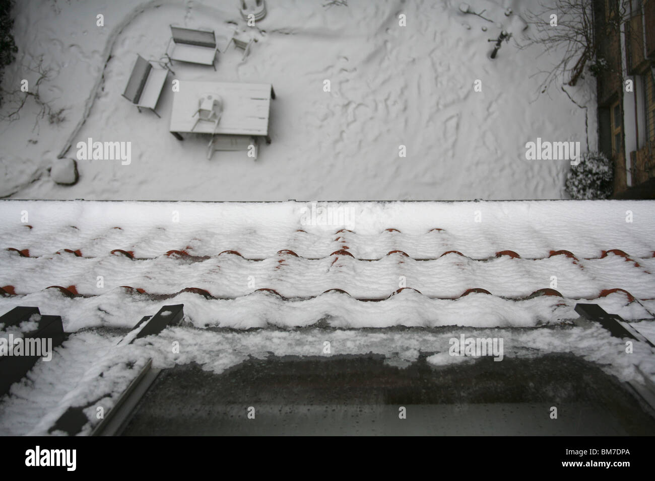 View out a window of a back yard Stock Photo - Alamy