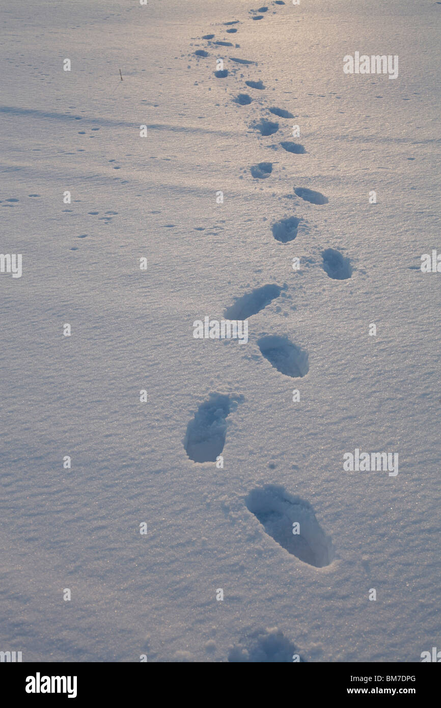 Unknown footprints hi-res stock photography and images - Alamy