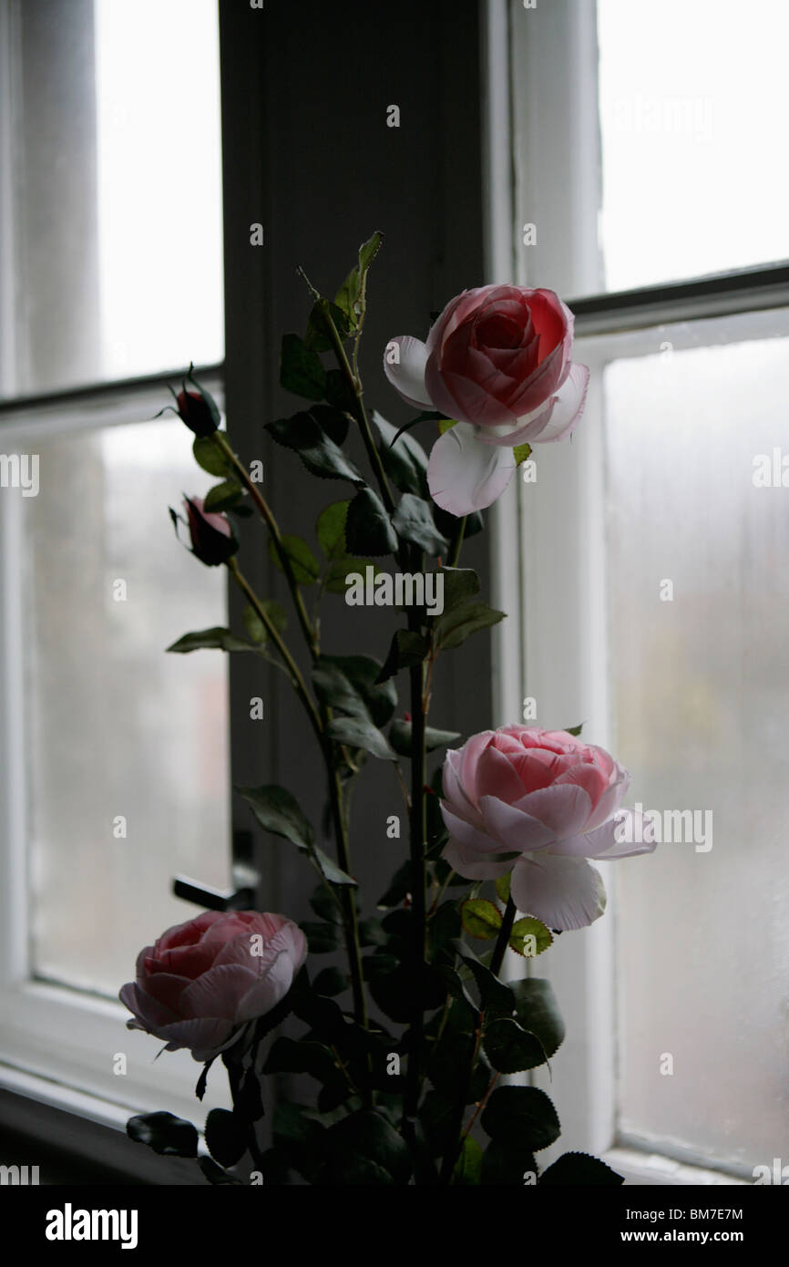 A bouquet of roses next to a window Stock Photo - Alamy