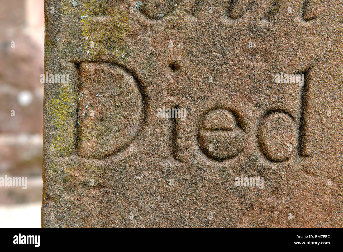 Died detail of old gravestone Stock Photo - Alamy