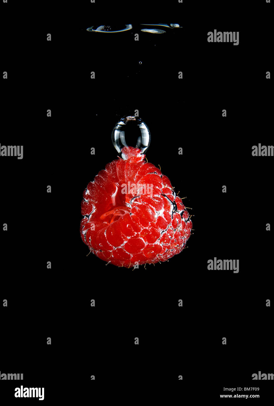 Raspberry falling into the water Stock Photo - Alamy