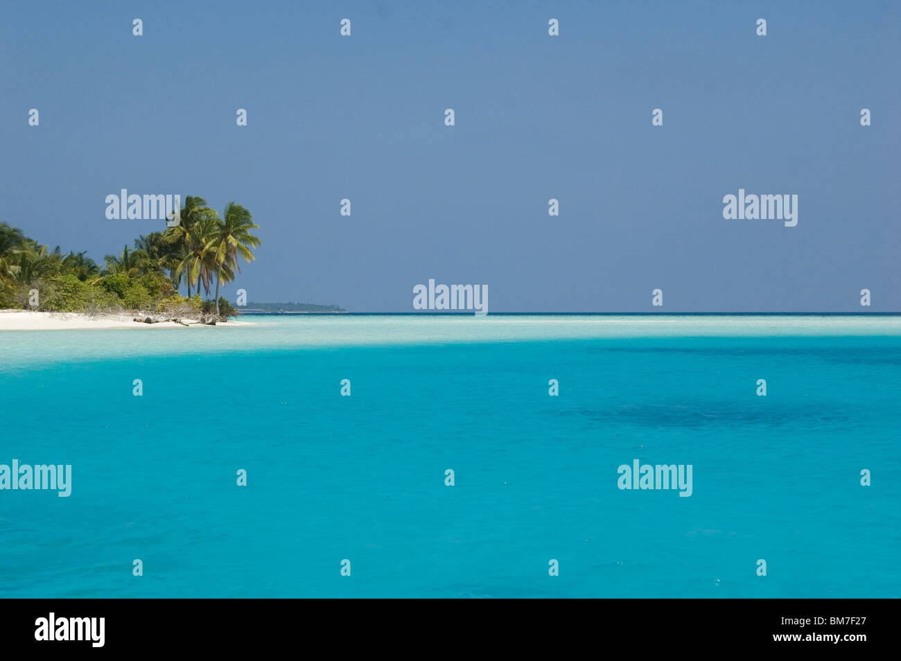 Samll tree hi-res stock photography and images - Alamy