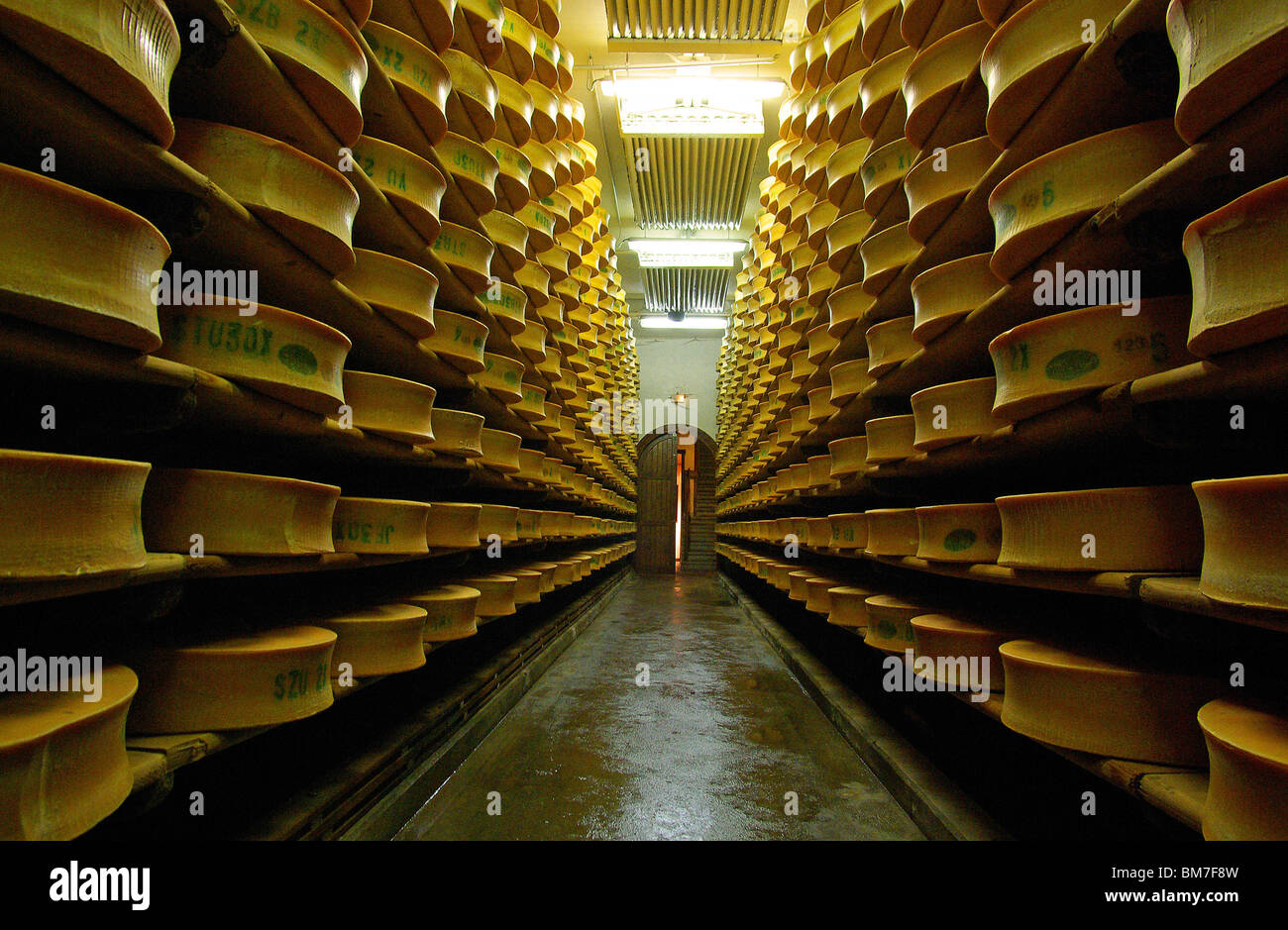 Maturing cheese hi-res stock photography and images - Alamy