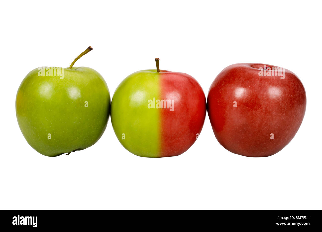Three different apples hi-res stock photography and images - Alamy