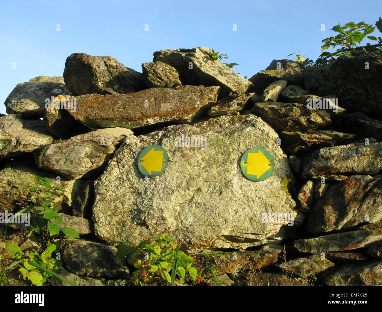 public footpath signs notices in rural Wales Stock Photo - Alamy
