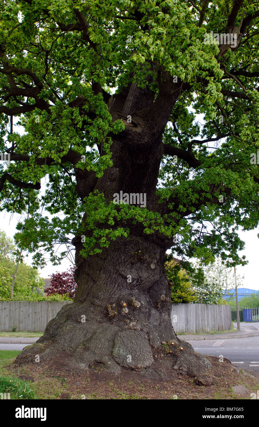 Coventry baginton uk hi-res stock photography and images - Alamy