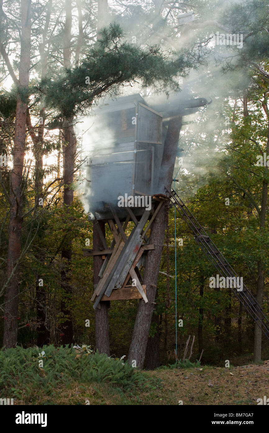 A hunting tower in a forest Stock Photo - Alamy
