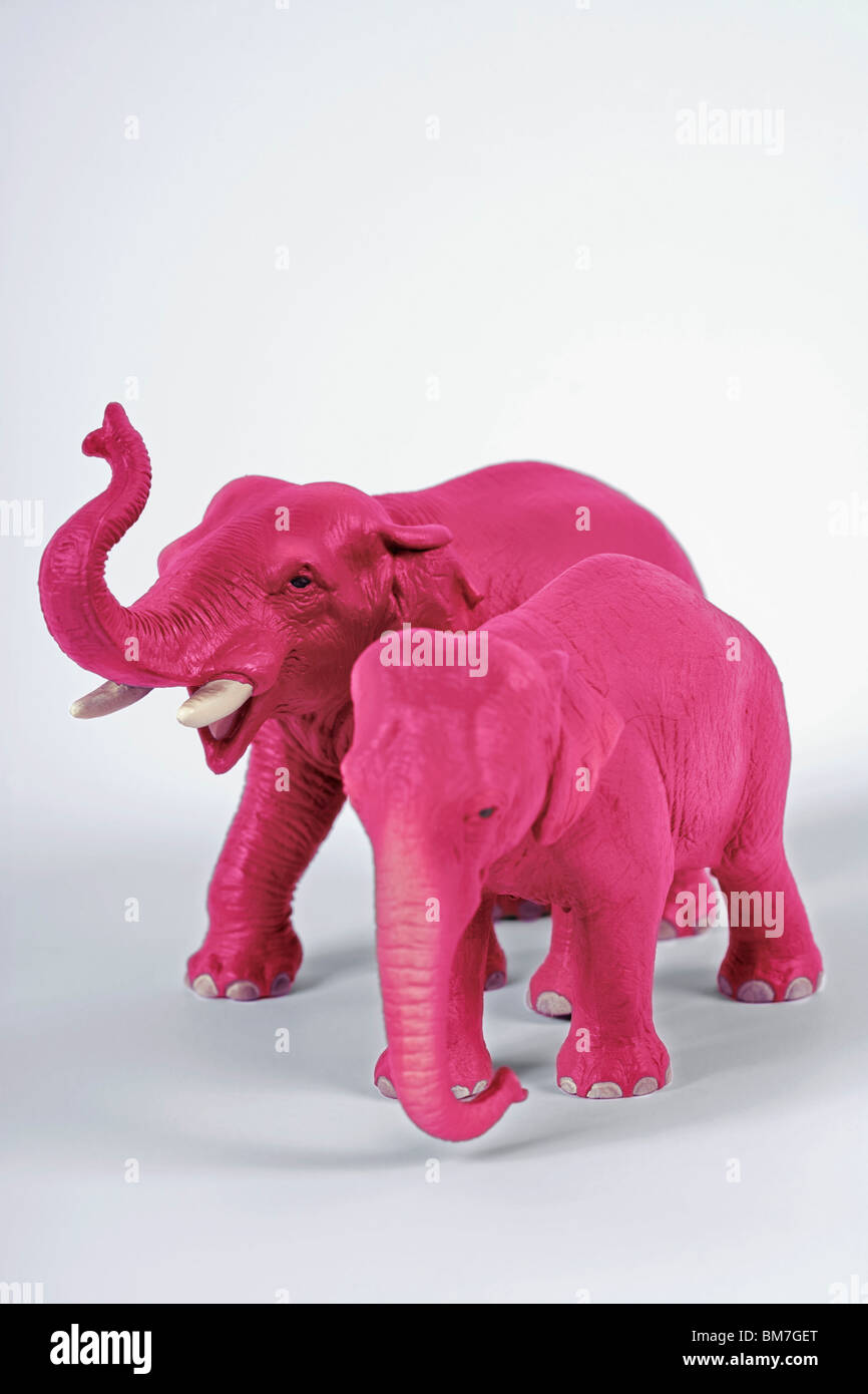 Vero Elefante Rosa Ontdek Het Meeslepende Verhaal Van Merel Pauw