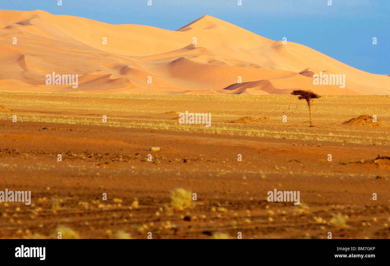Libya : Sand dune in the Sahara Desert Stock Photo - Alamy