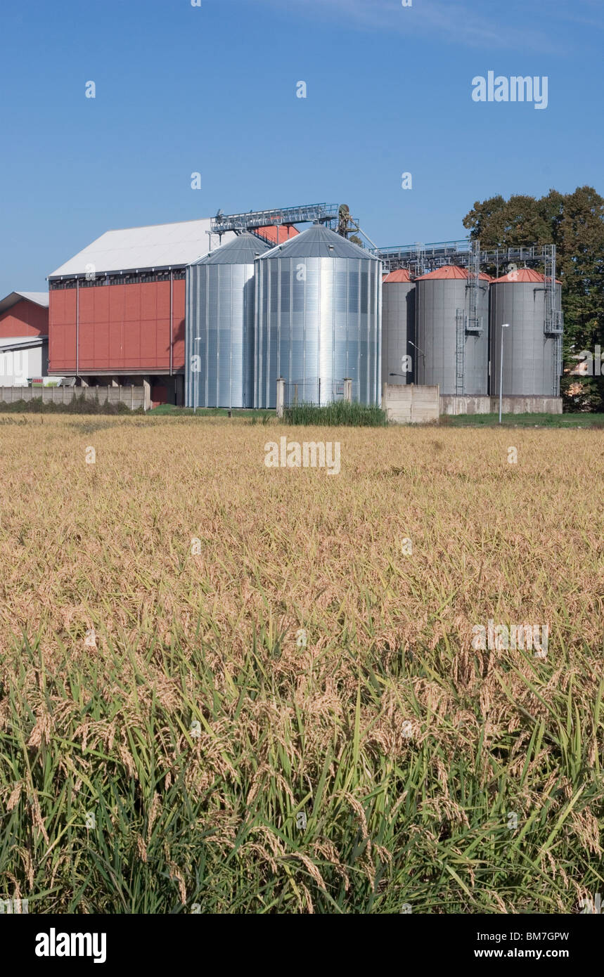 Rice processing plants hi-res stock photography and images - Alamy