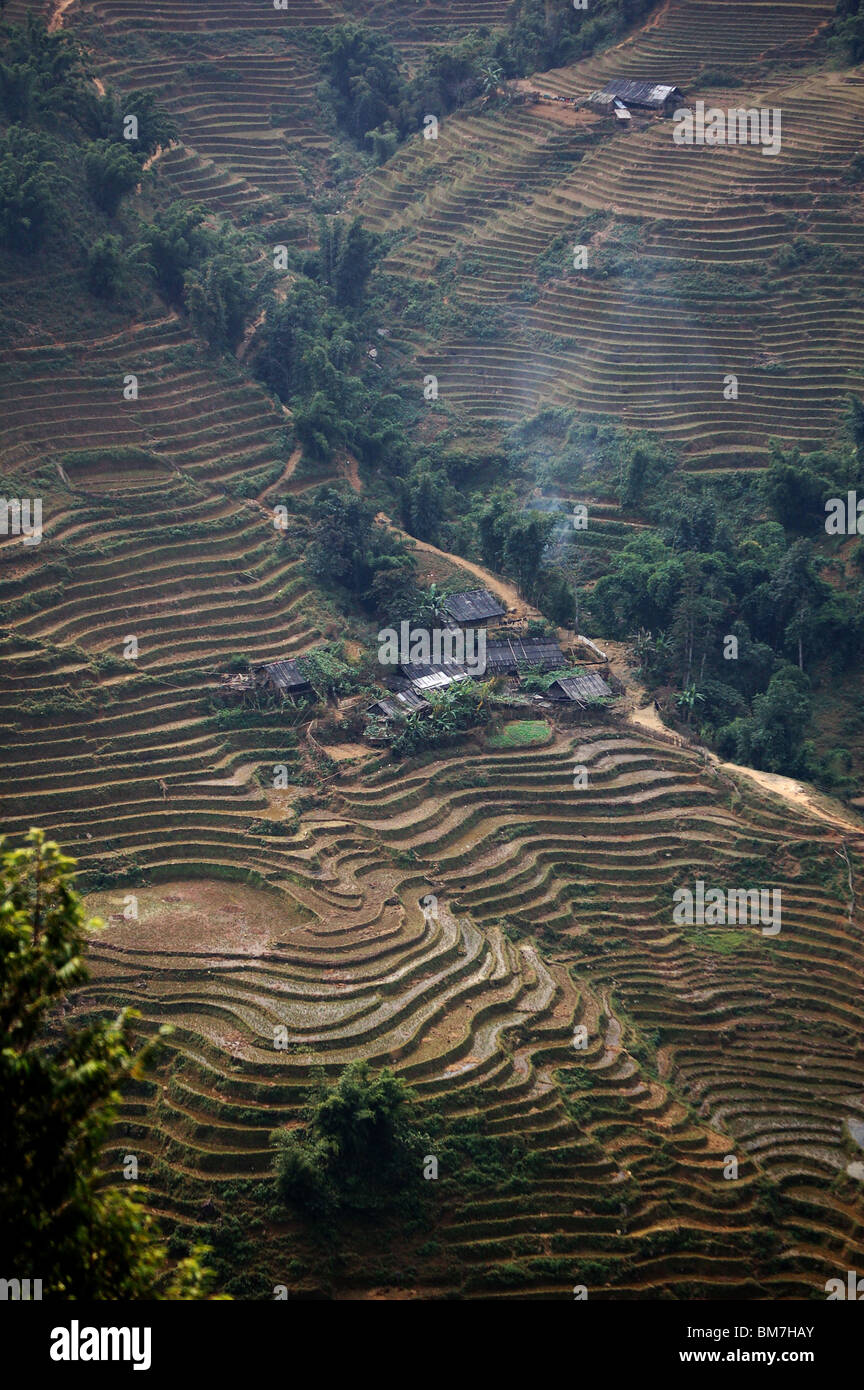 Vietnam : Terrace paddy-fields, 2008 Stock Photo - Alamy