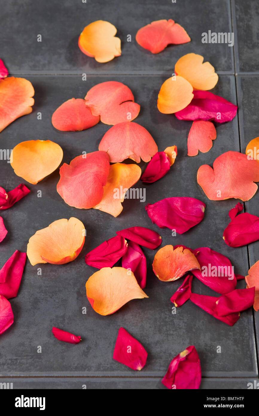 Rose petals strewn on the floor Stock Photo - Alamy